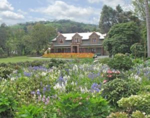 Isel Park - Found Directory